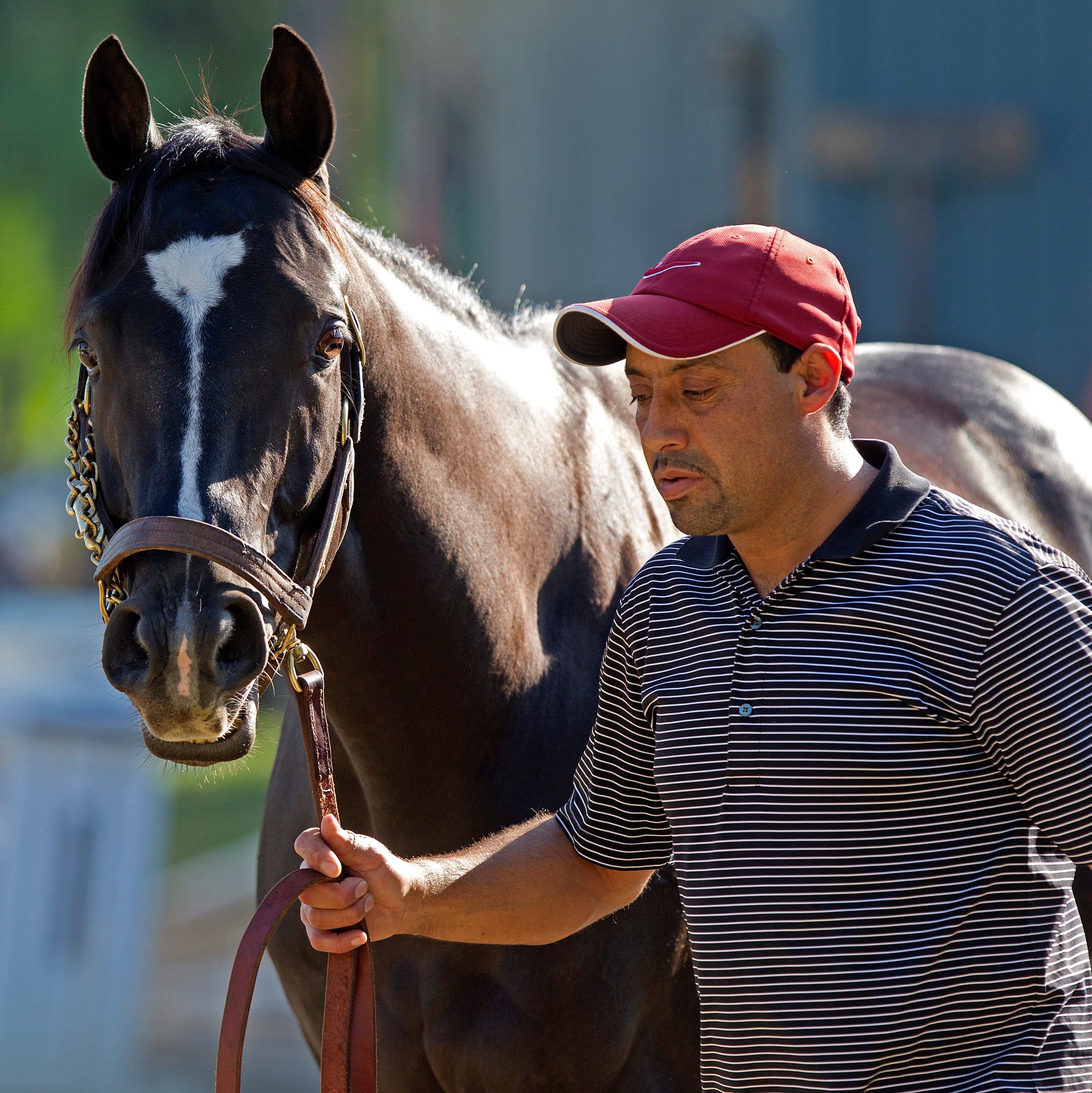 Arlington Park: Willcox Inn returns in good shape after Dixie loss