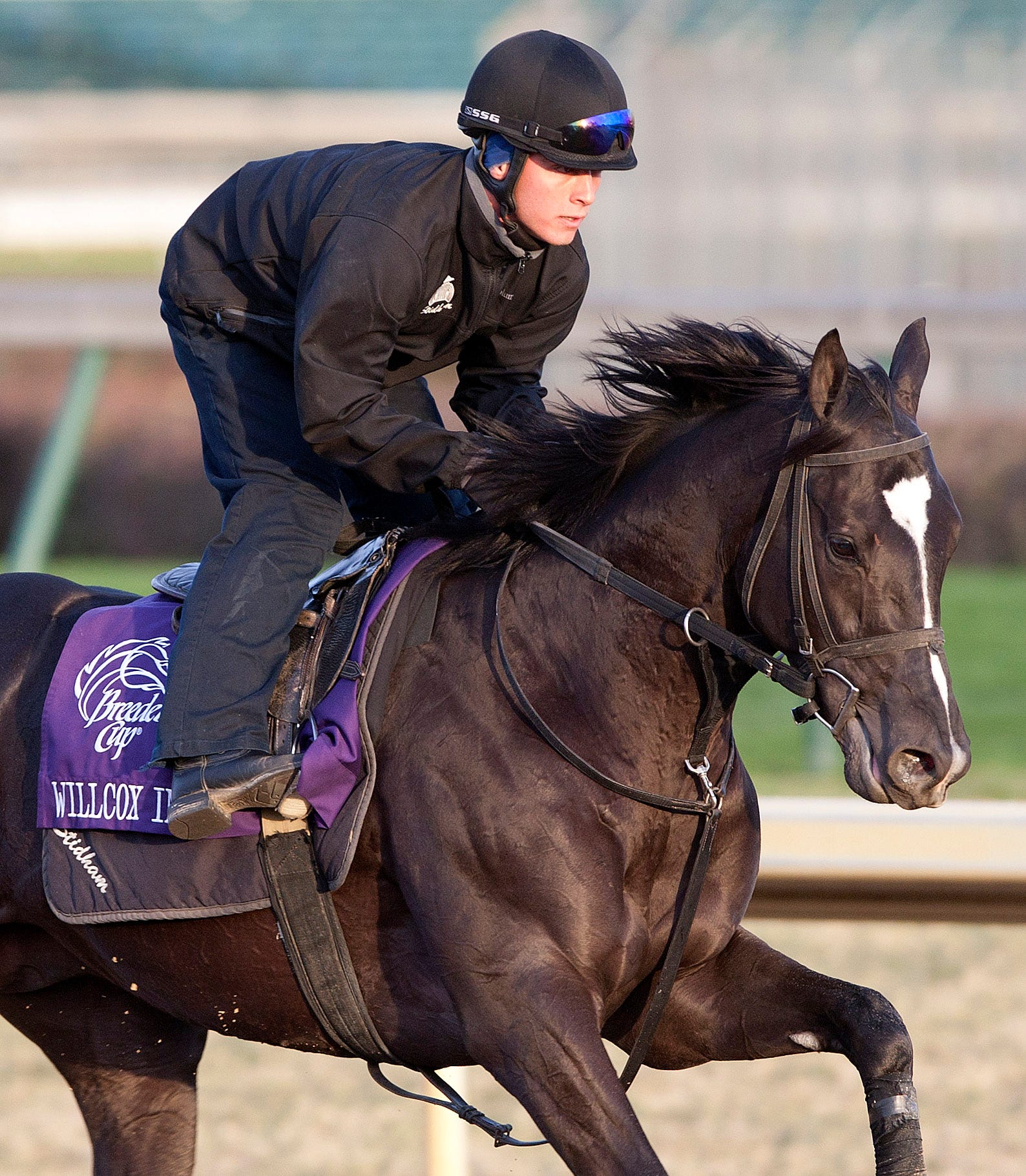 Willcox Inn makes 3-year-old debut in Grindstone at Fair Grounds