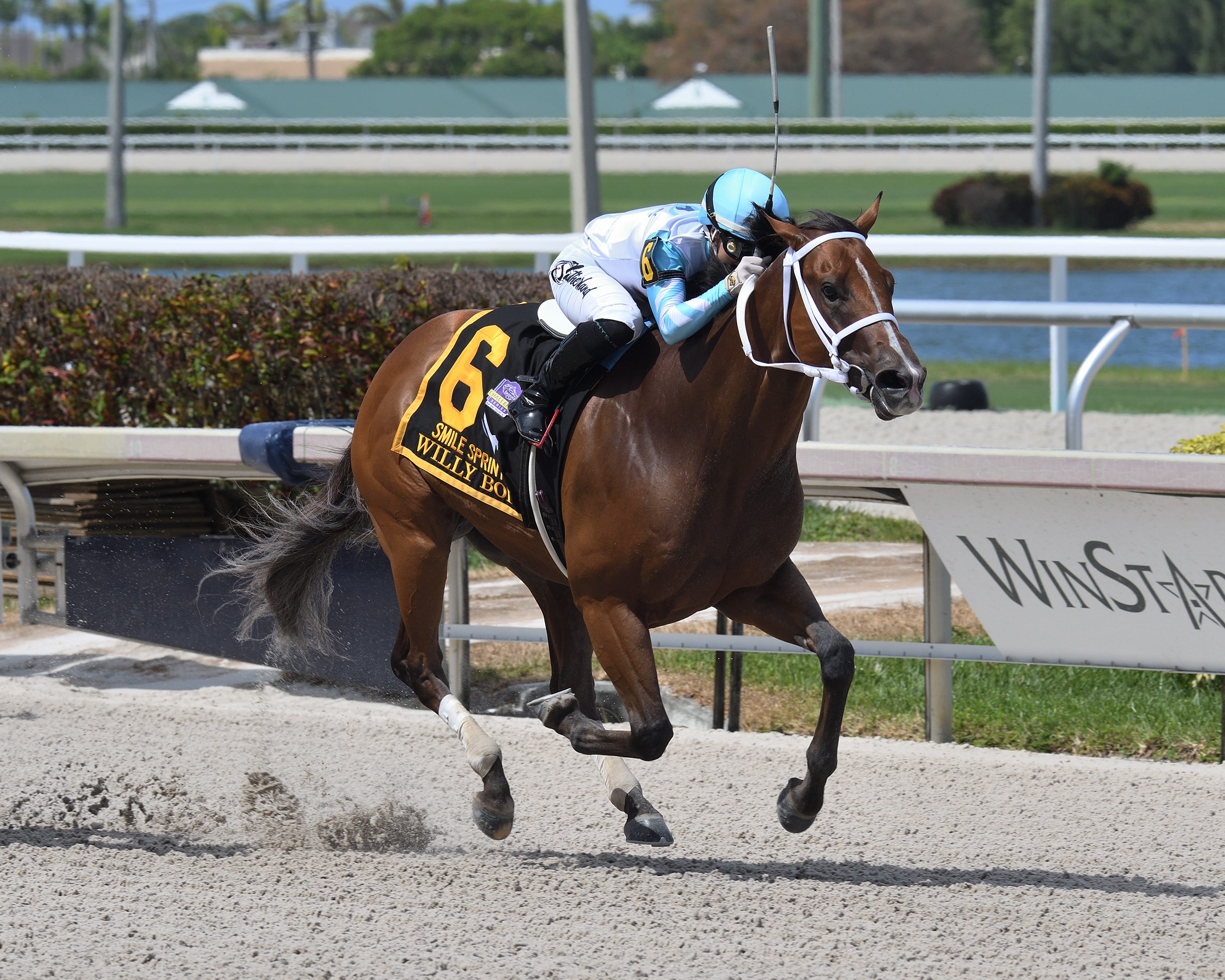 Delgado taking conservative route to Breeders' Cup with Smile winner ...