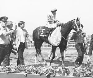 Remembering Winning Colors