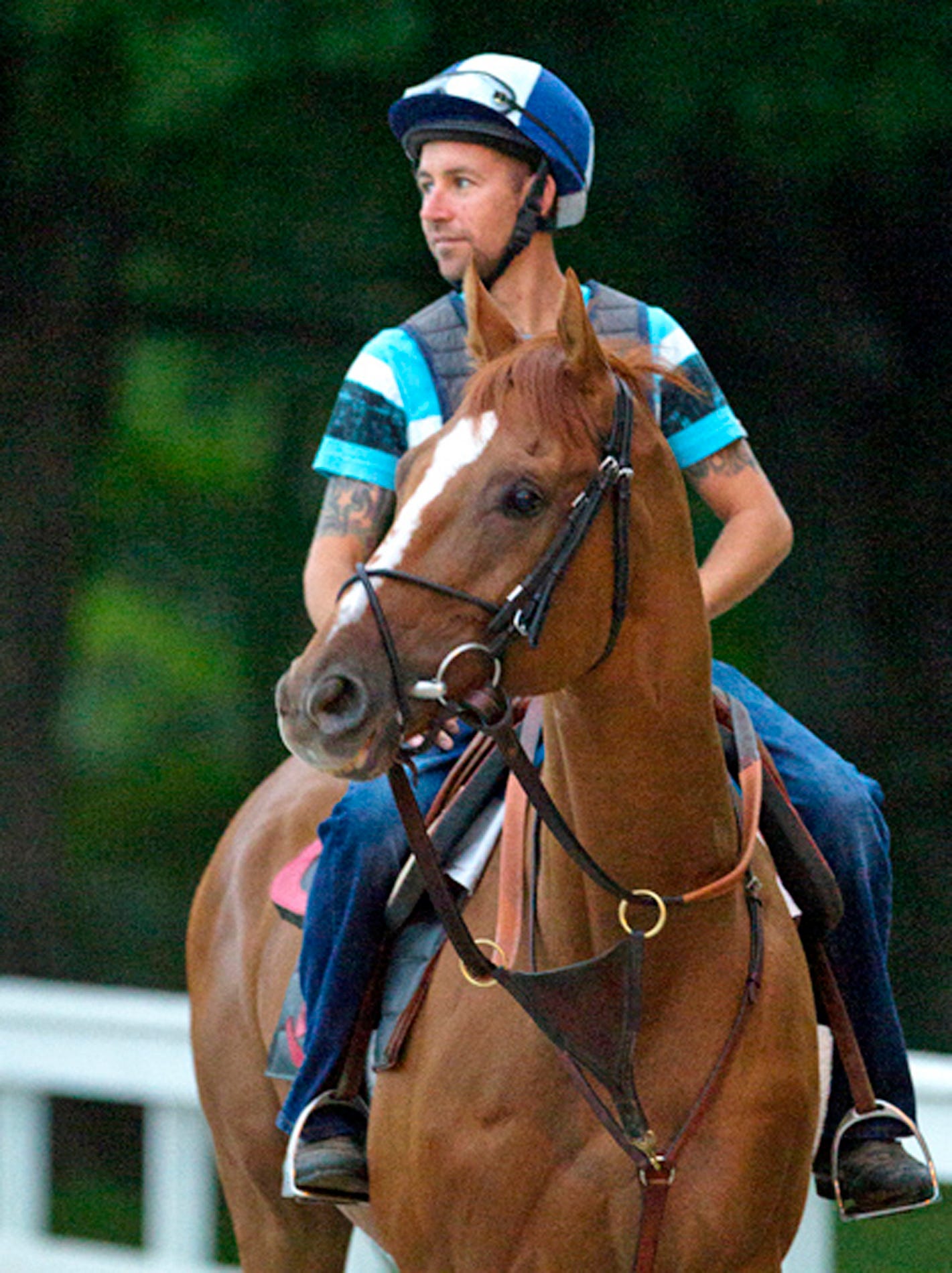 Wise Dan, Casse among Canadian Hall of Fame inductees