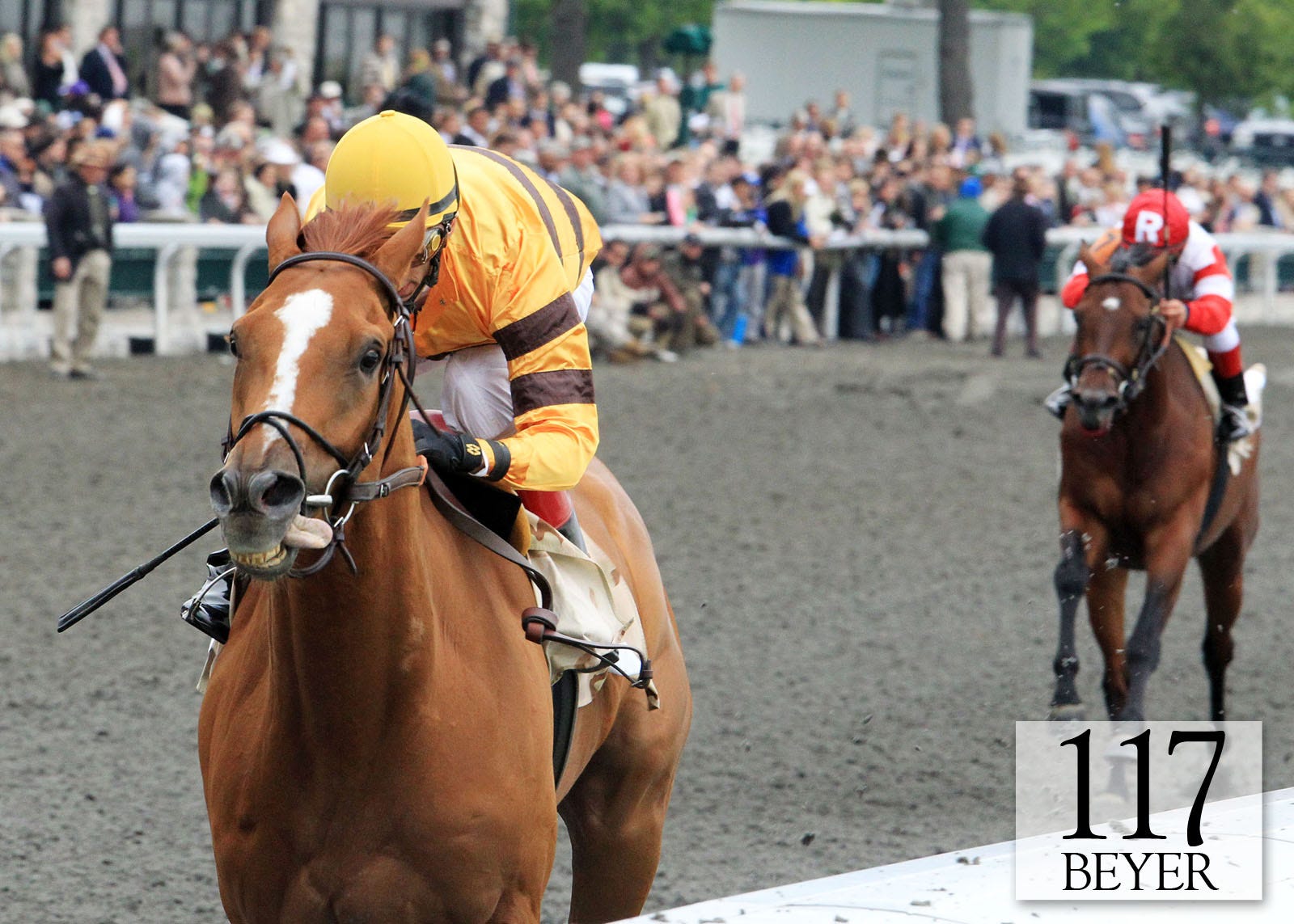 Horse racing's top Beyer Speed Figures of 2012