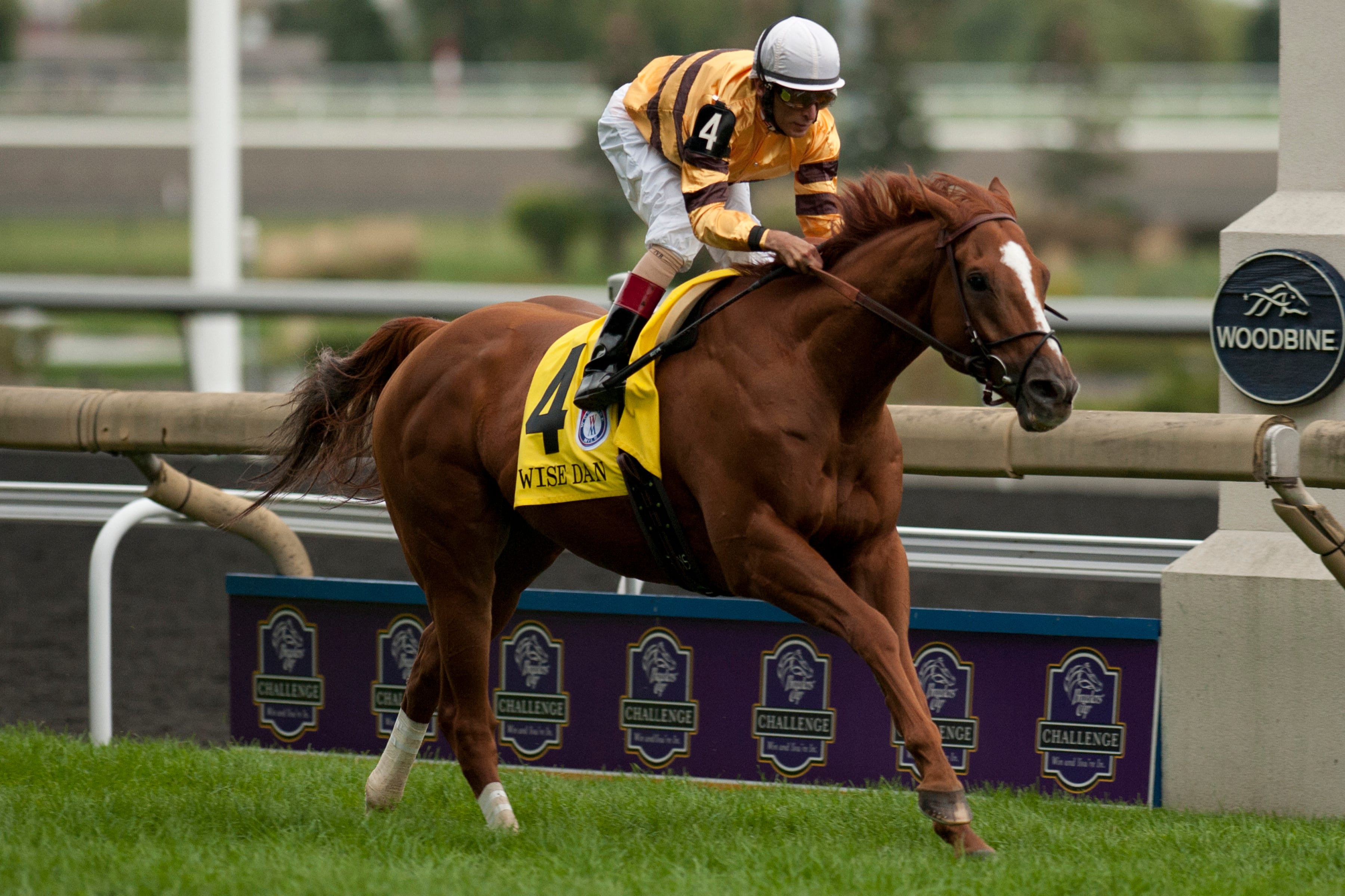 Wise Dan, Casse headed to Canadian Horse Racing Hall of Fame