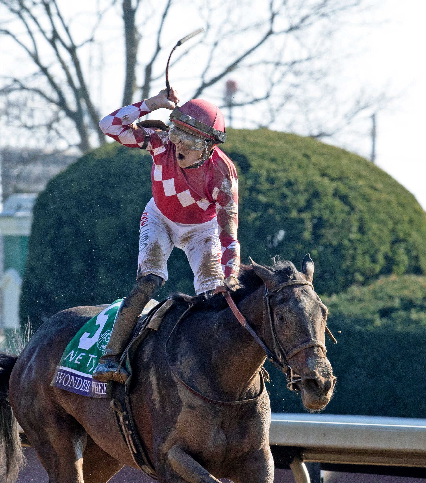 Breeders' Cup Juvenile Fillies: Wonder Wheel uses come-from-behind ...