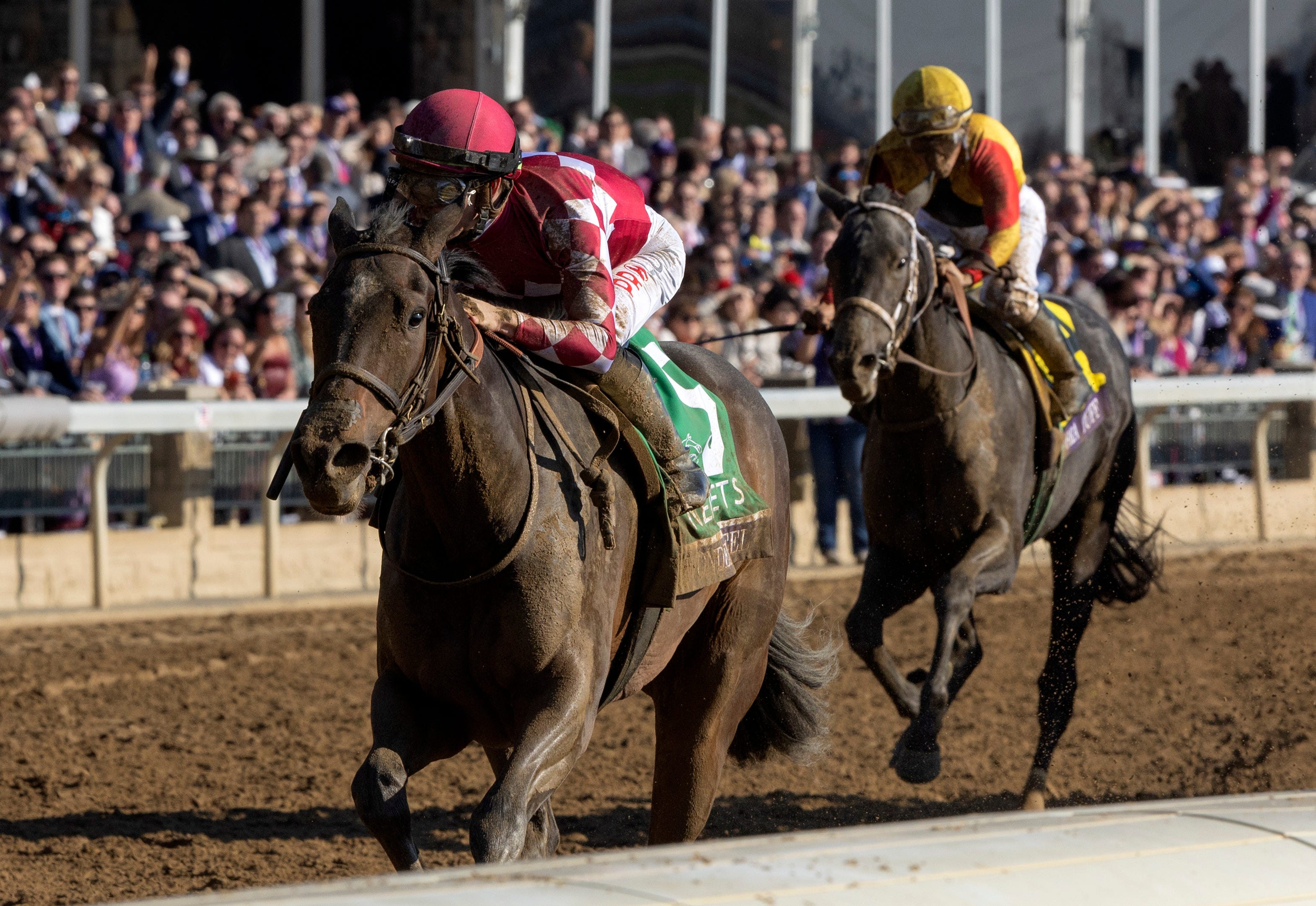 Champion Wonder Wheel heads field of seven in opening-day Ashland Stakes