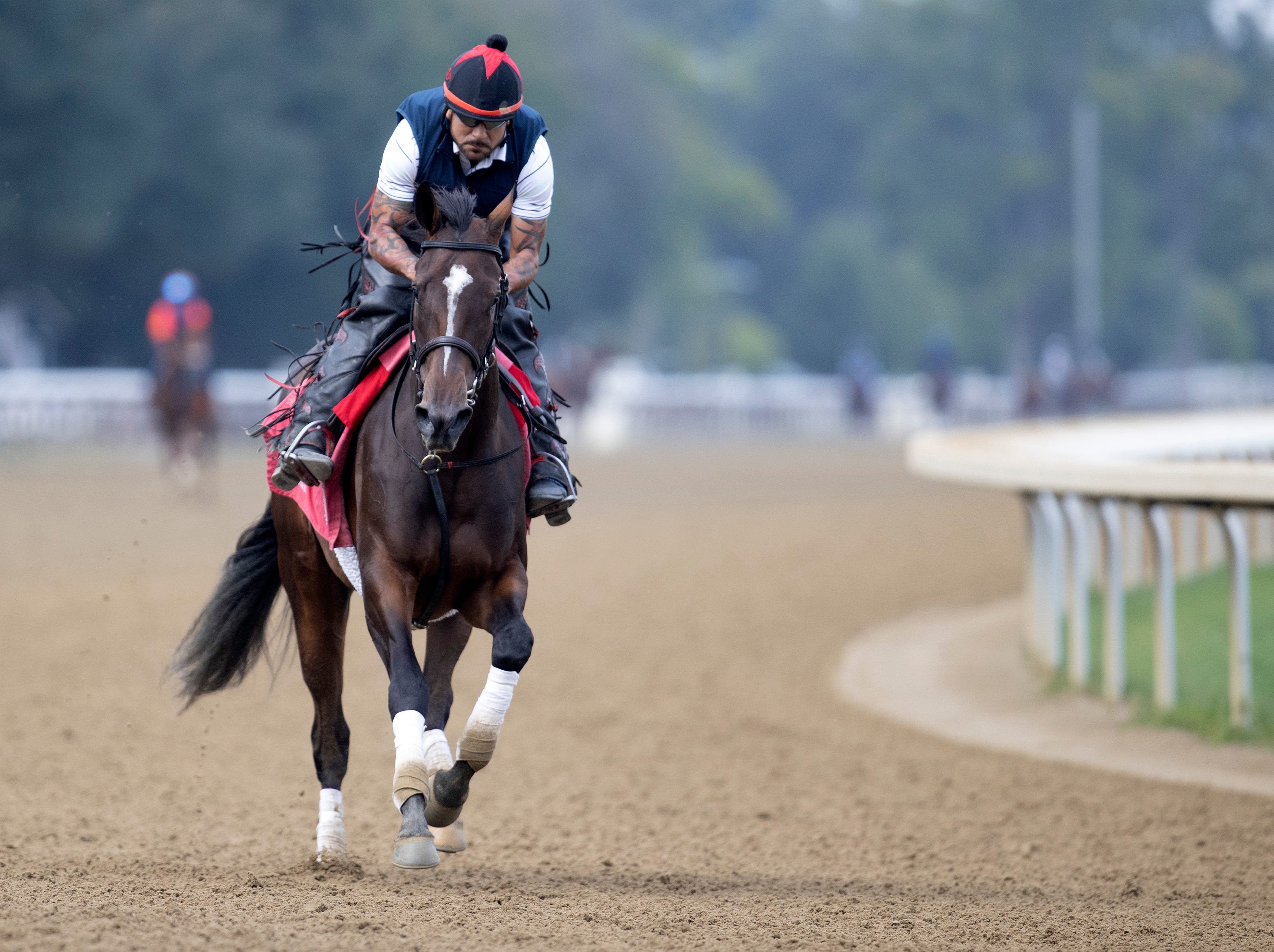 Wonder Wheel one of the ones in talent-filled Spinaway field