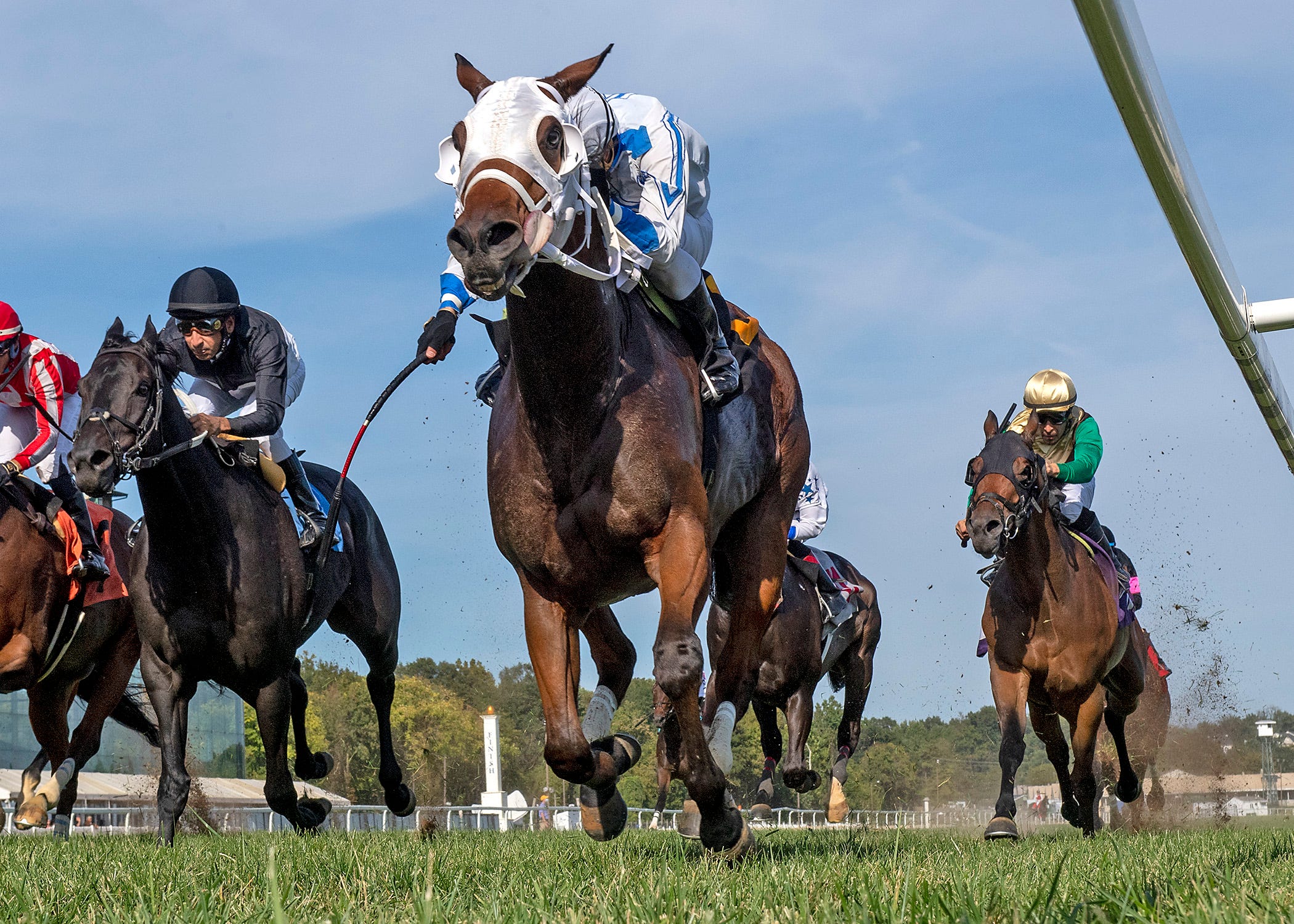 Xy Speed among contenders in wide-open Get Serious Stakes