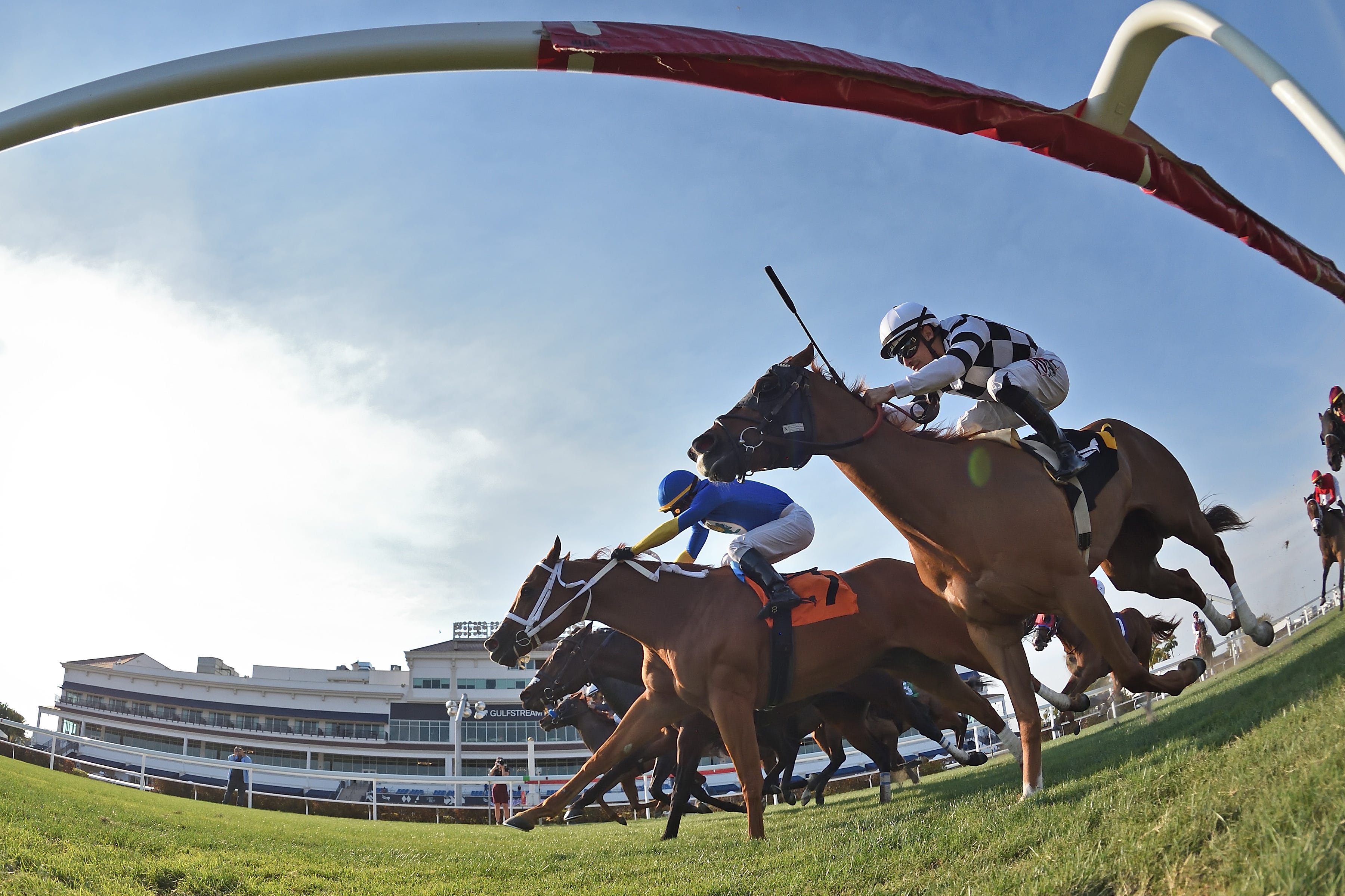 DRF's Horse Racing Playbook for Sunday, April 2, 2023