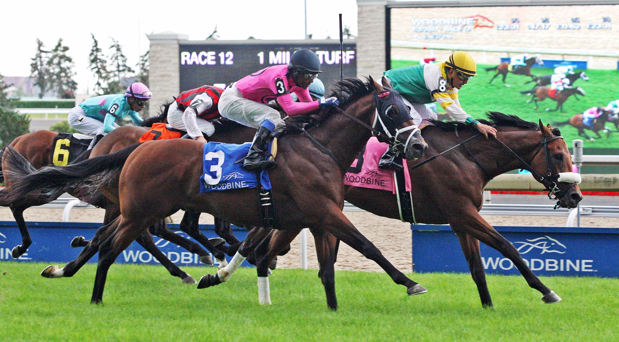 Conquest Lemonraid gets more ground in Toronto Cup