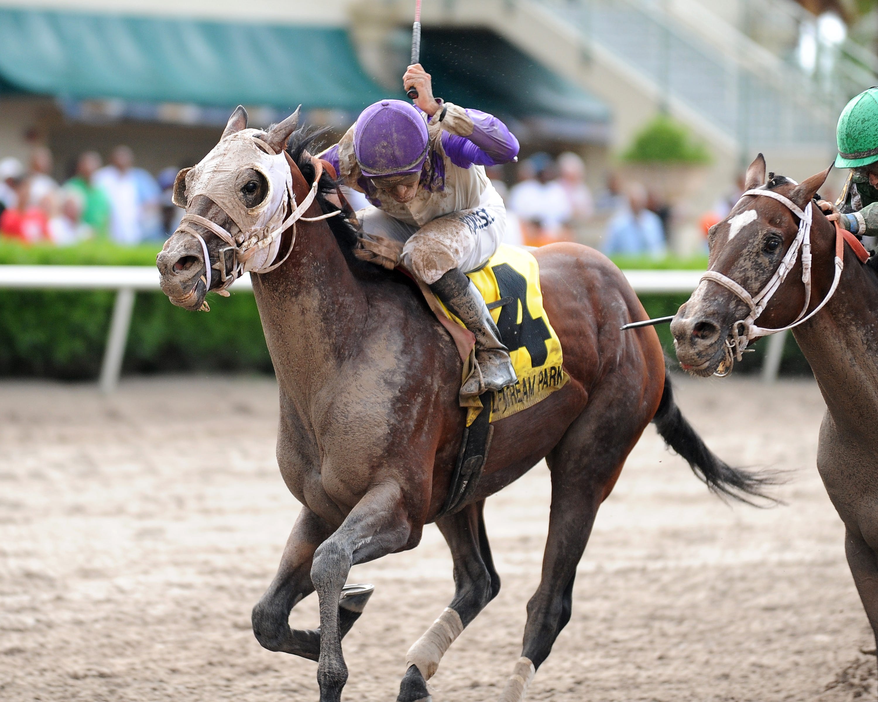 Classic matchup in Groomstick Stakes