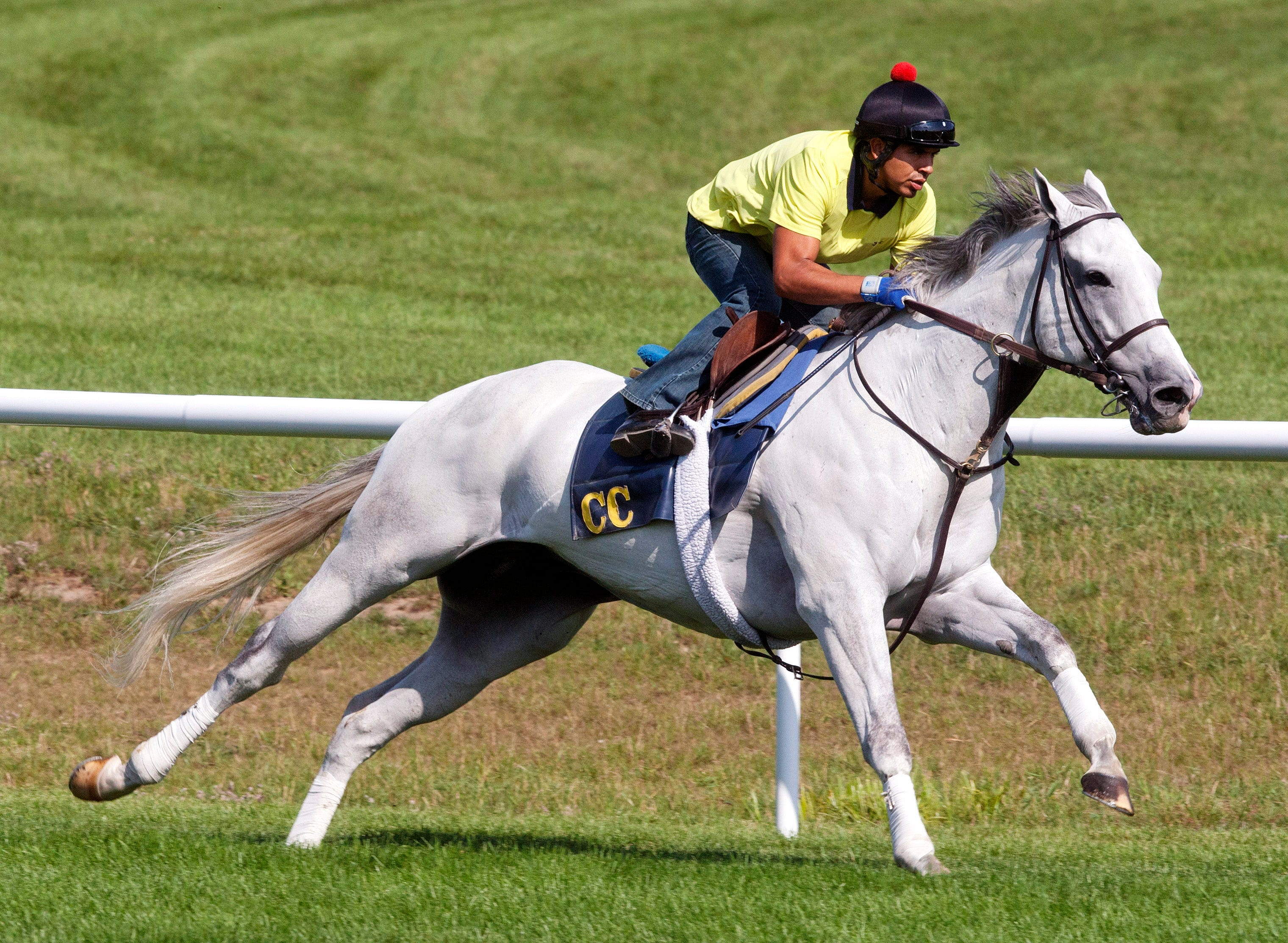 Clement eyes double in co-featured Sky Beauty, Real Courage stakes