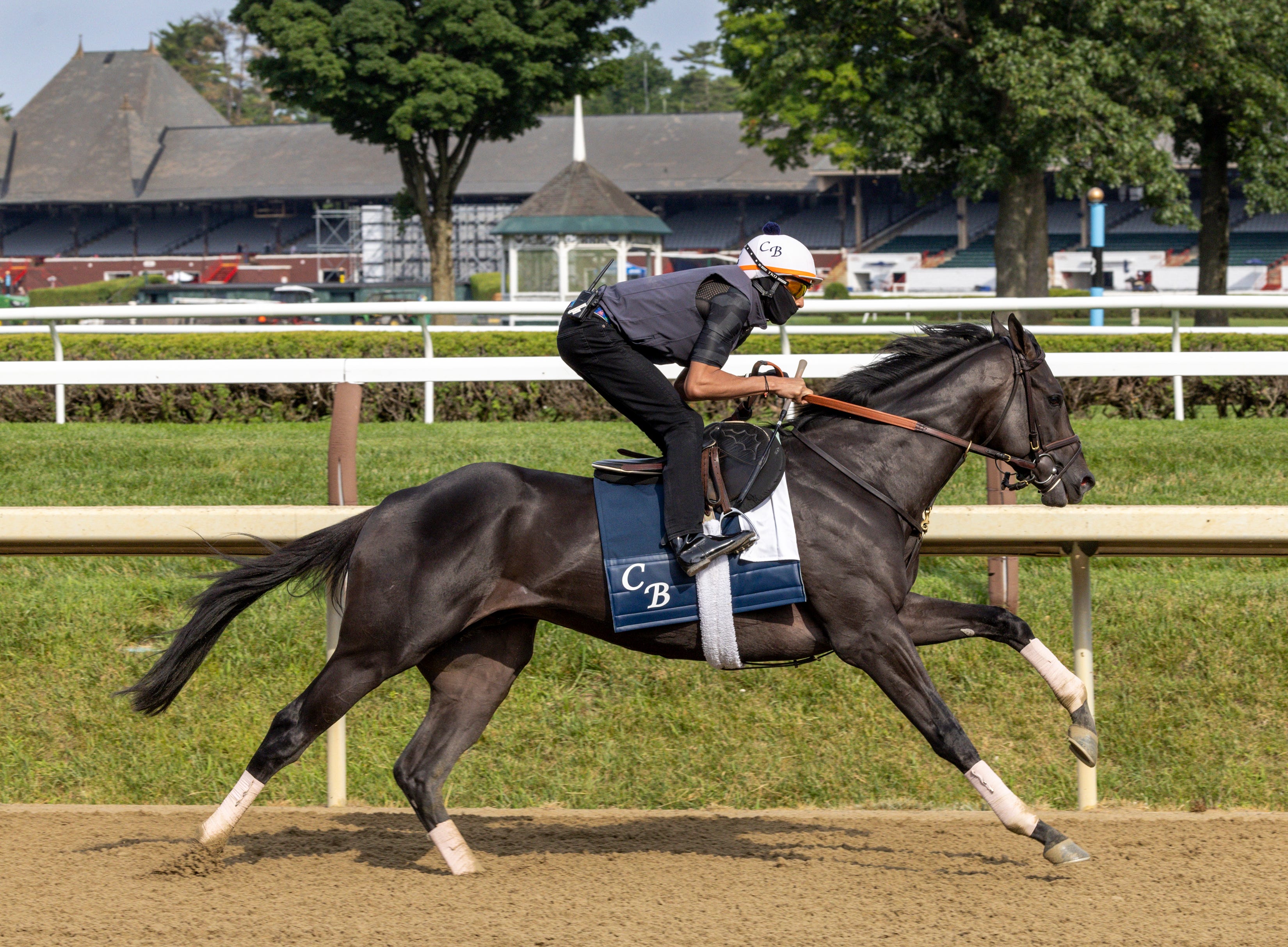 Zandon pointing for Cigar Mile