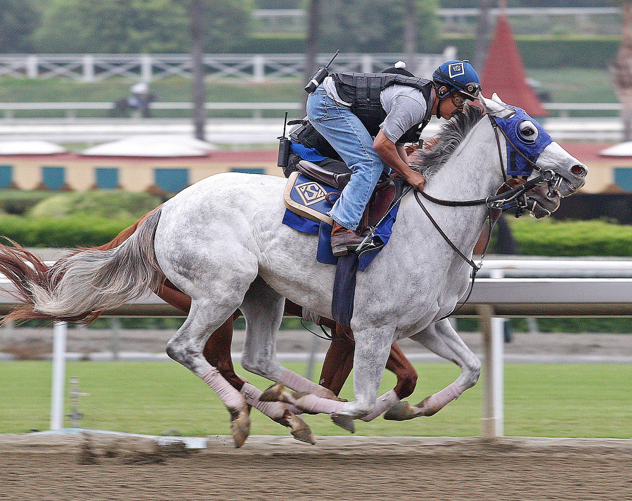 Santa Anita: Zazu a legitimate threat in Lady's Secret