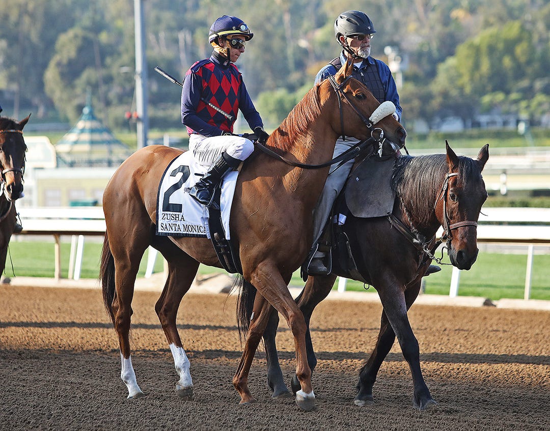 Zusha's attitude key to Tranquility Lake performance