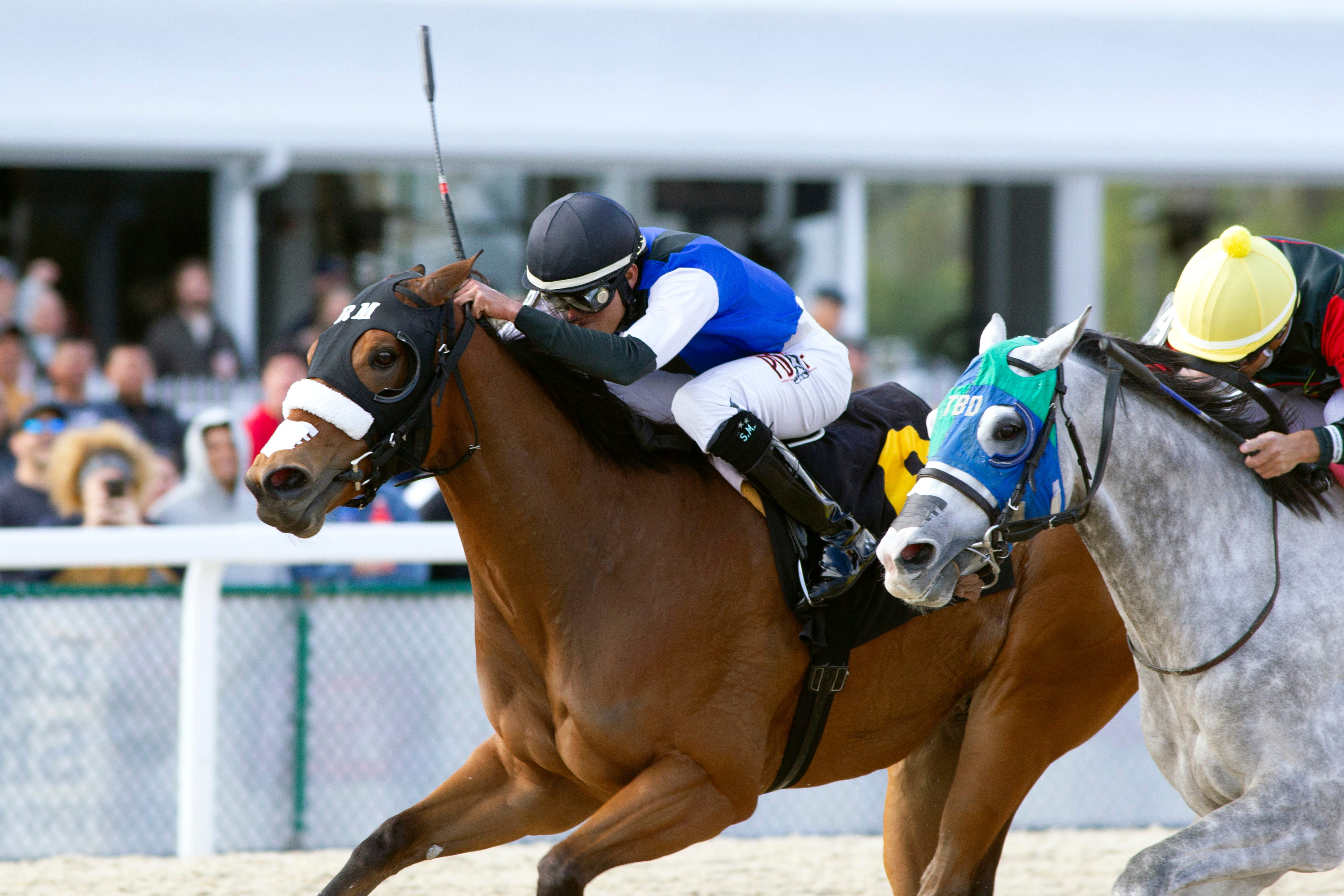 Tight finishes in all three stakes