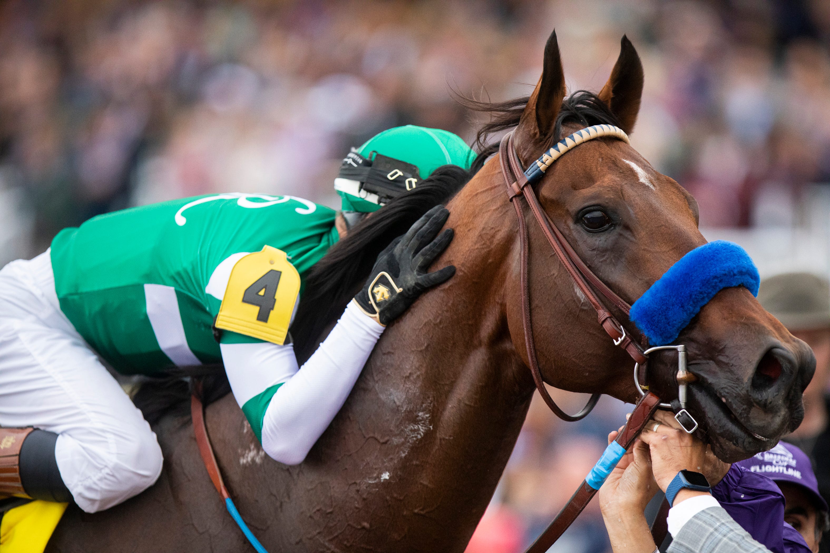 Godolphin named national owner and breeder of year by TOBA