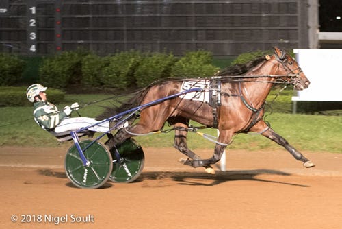 The Red Mile: American History flaunts his speed in Kentucky Sires Stakes