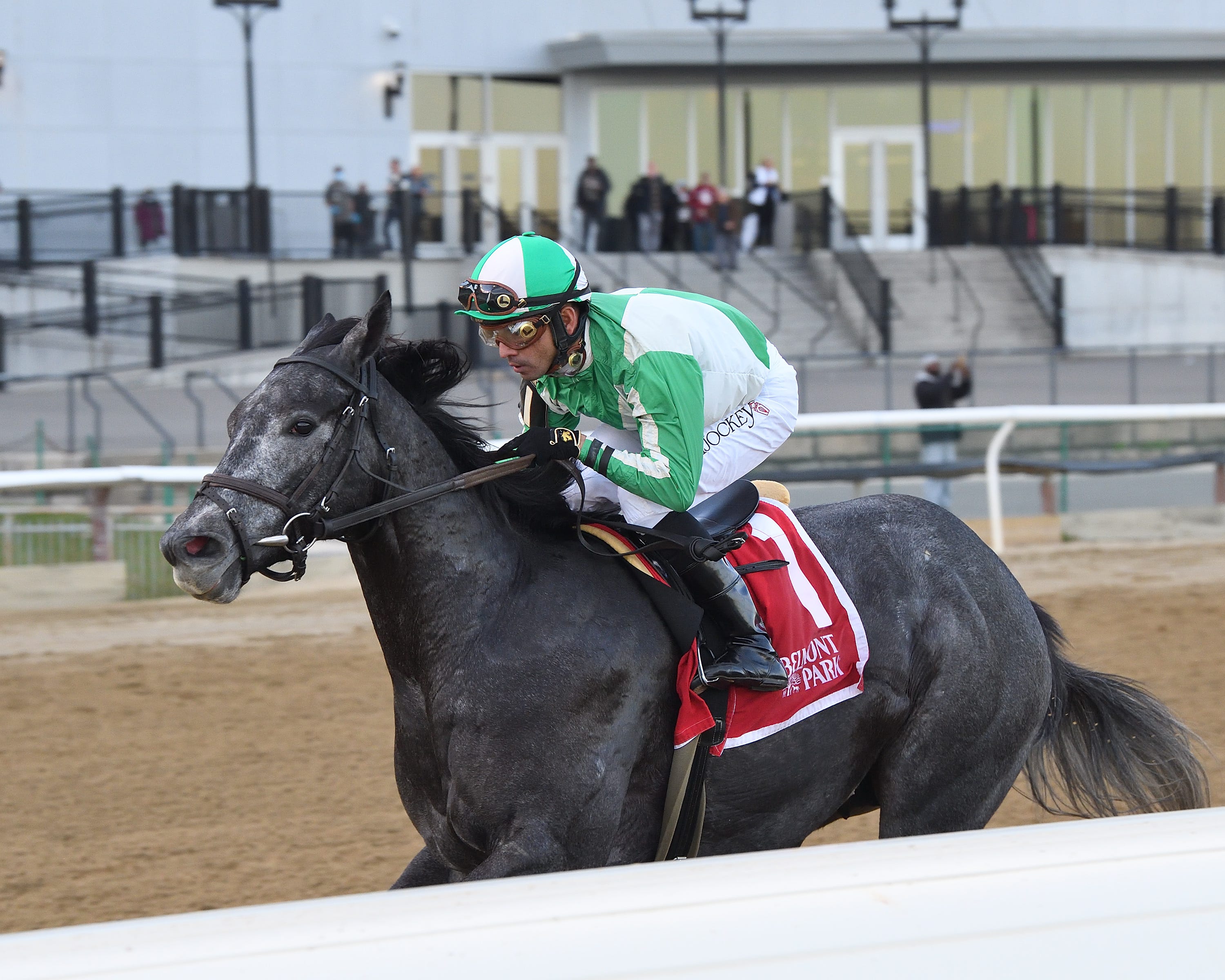 Arctic Arrogance's rally pays off in Sleepy Hollow Stakes