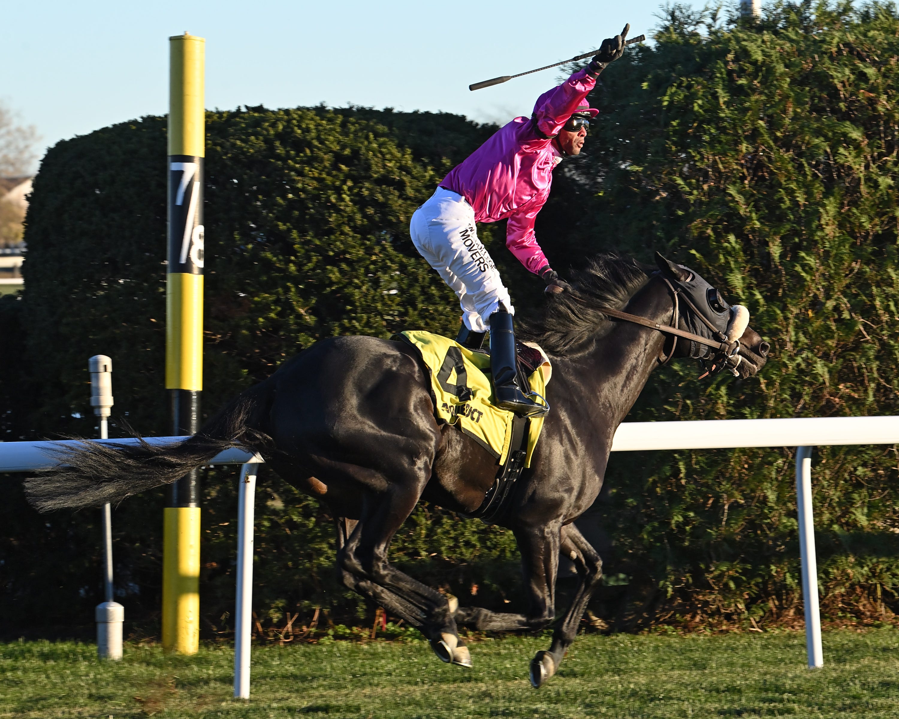 Maker brings some McKnight magic to Mac Diarmida