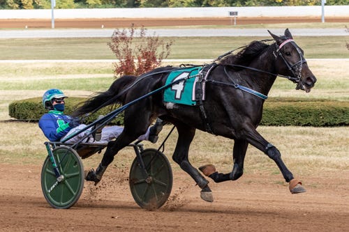 Red Mile: McCarthy brothers go three-for-four in Corbin Maturity Series