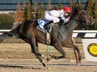 Big Apple Daddy switches targets