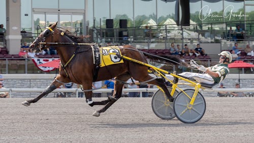 The Meadows: Blue Diamond Eyes matches track record