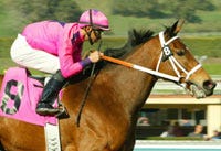 Kedington covets the Classic