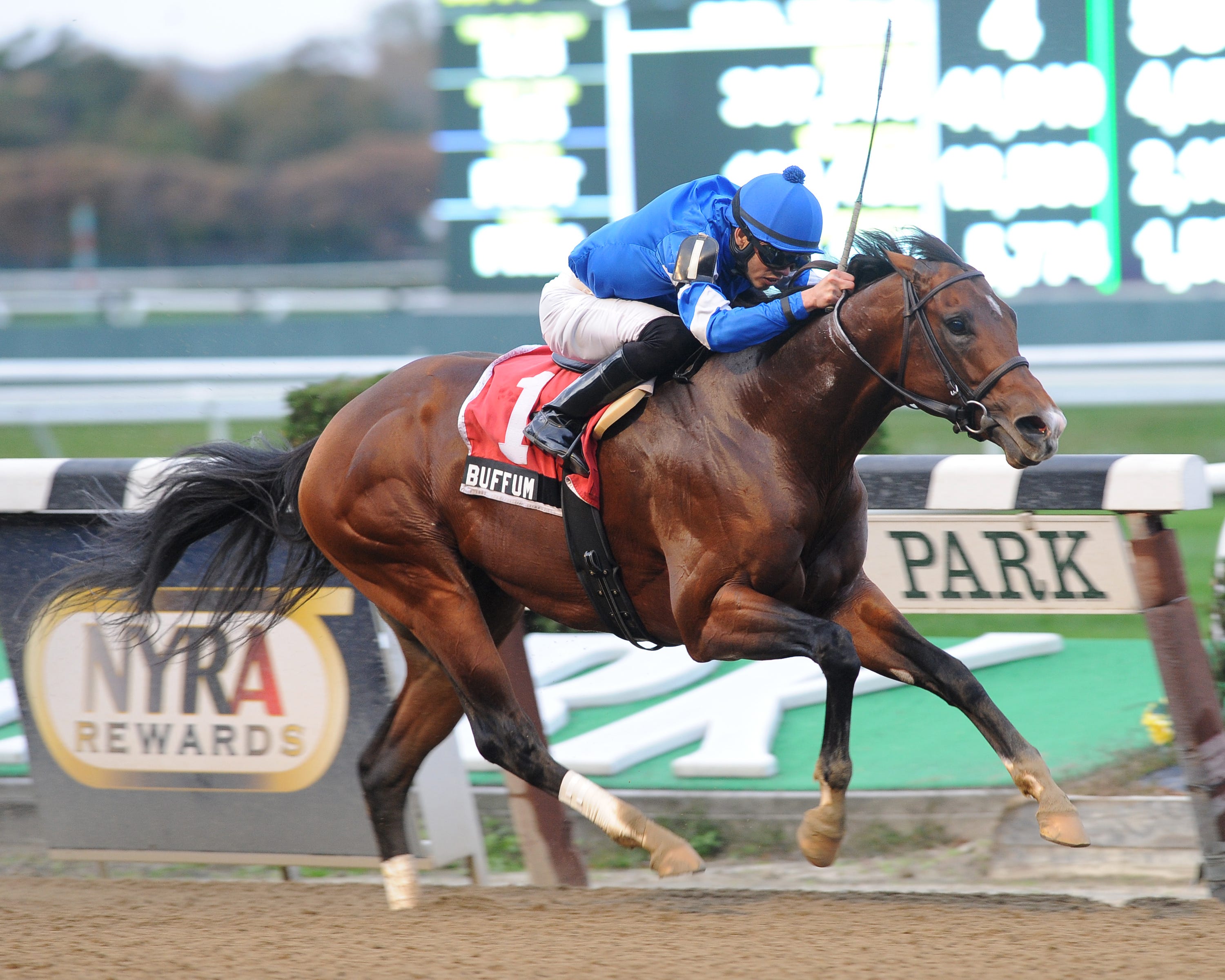 Belmont Park: Buffum leads them gate to wire in Bold Ruler