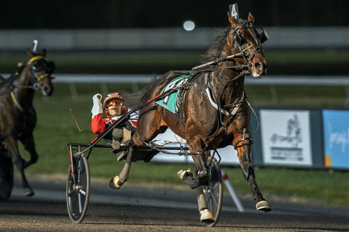 Meadowlands: Bulldog Hanover goes out a winner in TVG Open Pace final