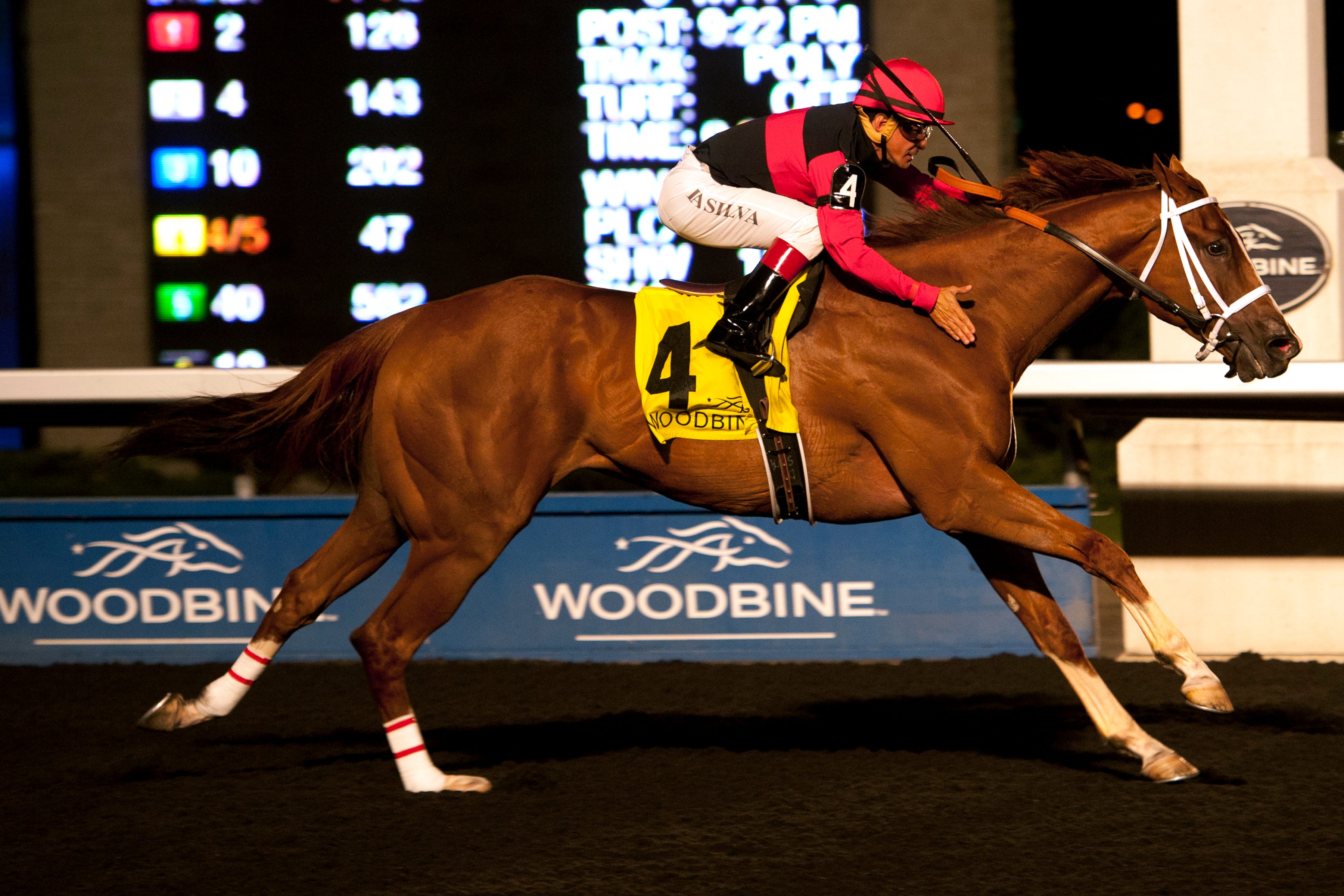 Woodbine: Calgary Cat wins battle of champions