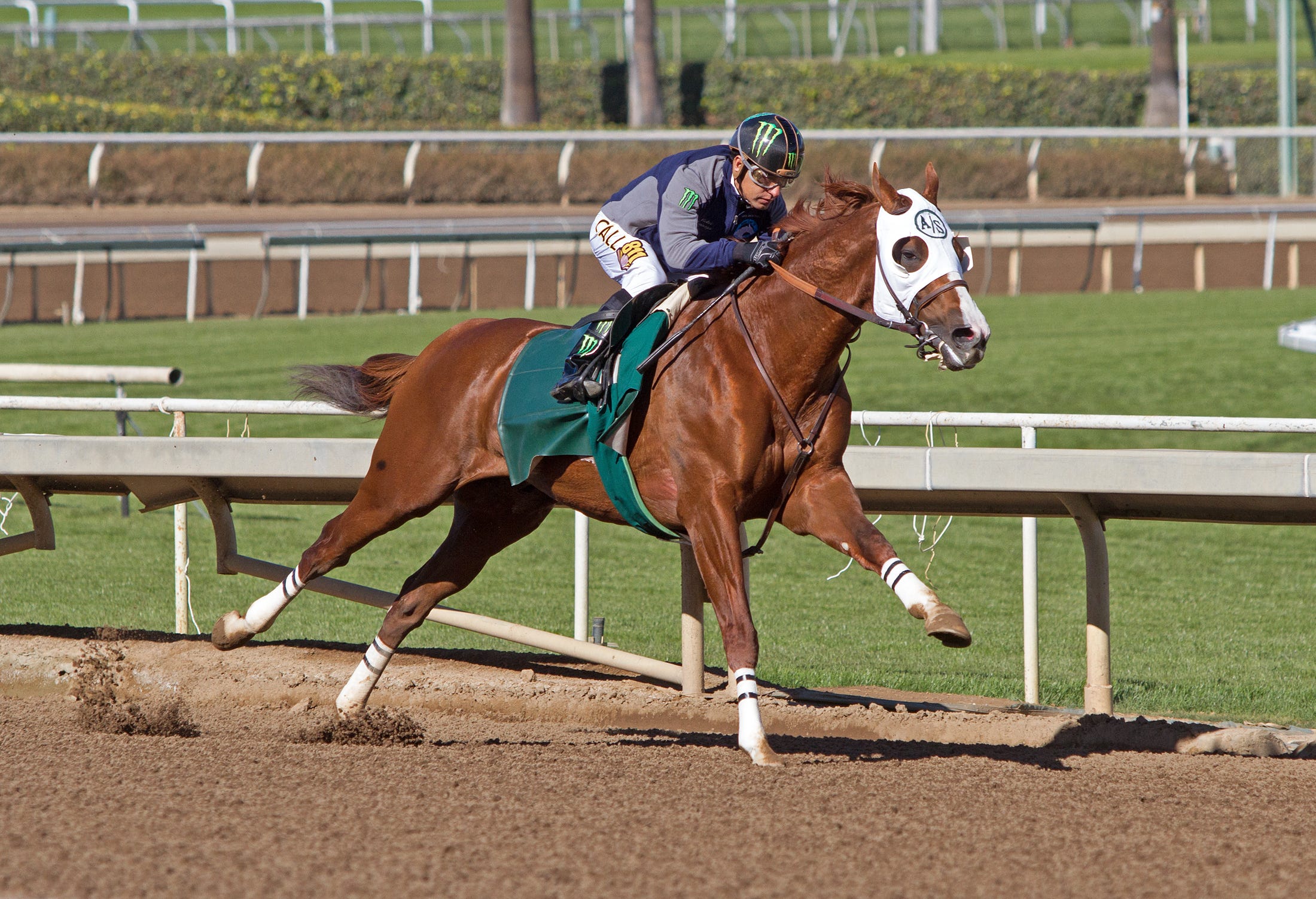 California Chrome goes fast six furlongs in final work before San Pasqual