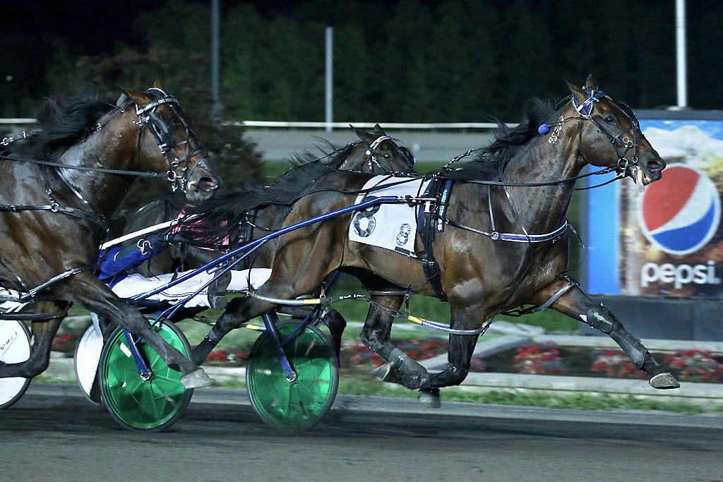 Woodbine Mohawk Park: Todd McCarthy doubles in Graduate Series