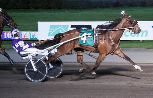 Meadowlands: Charlie May turns in sensational seasonal debut