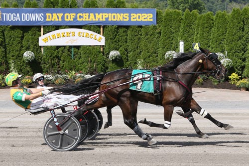 Tioga: Cool Papa Bell, Joviality S top NYSS champions for three-year-olds