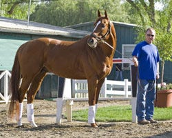 Curlin looks for more fireworks at Keeneland September