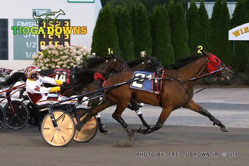 Tioga: Custom Cantab wins final Miss Versatility prelim