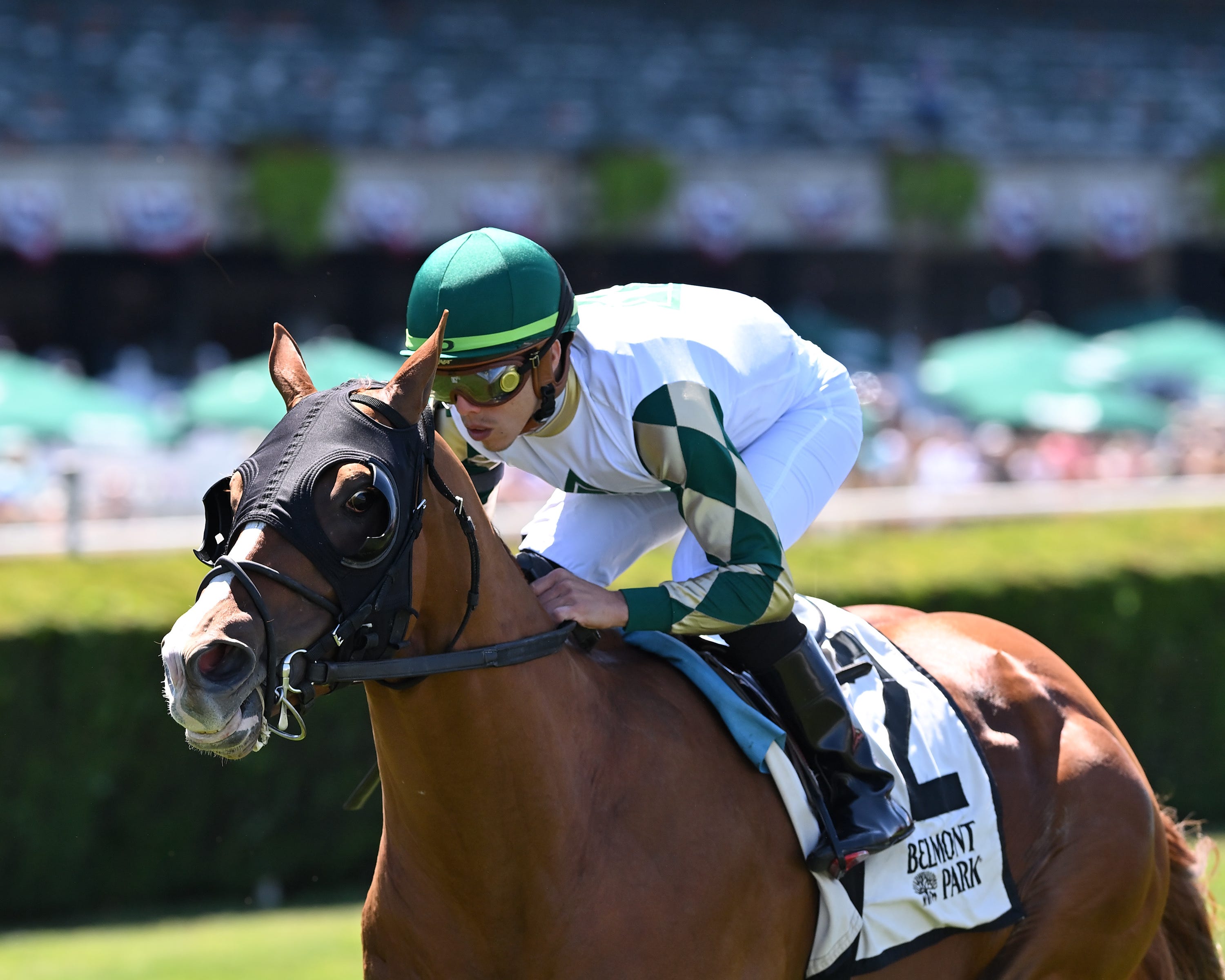 Dakota Gold rebounds with Spectacular Bid victory