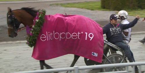 Harness: In Sweden, racing continues despite the pandemic