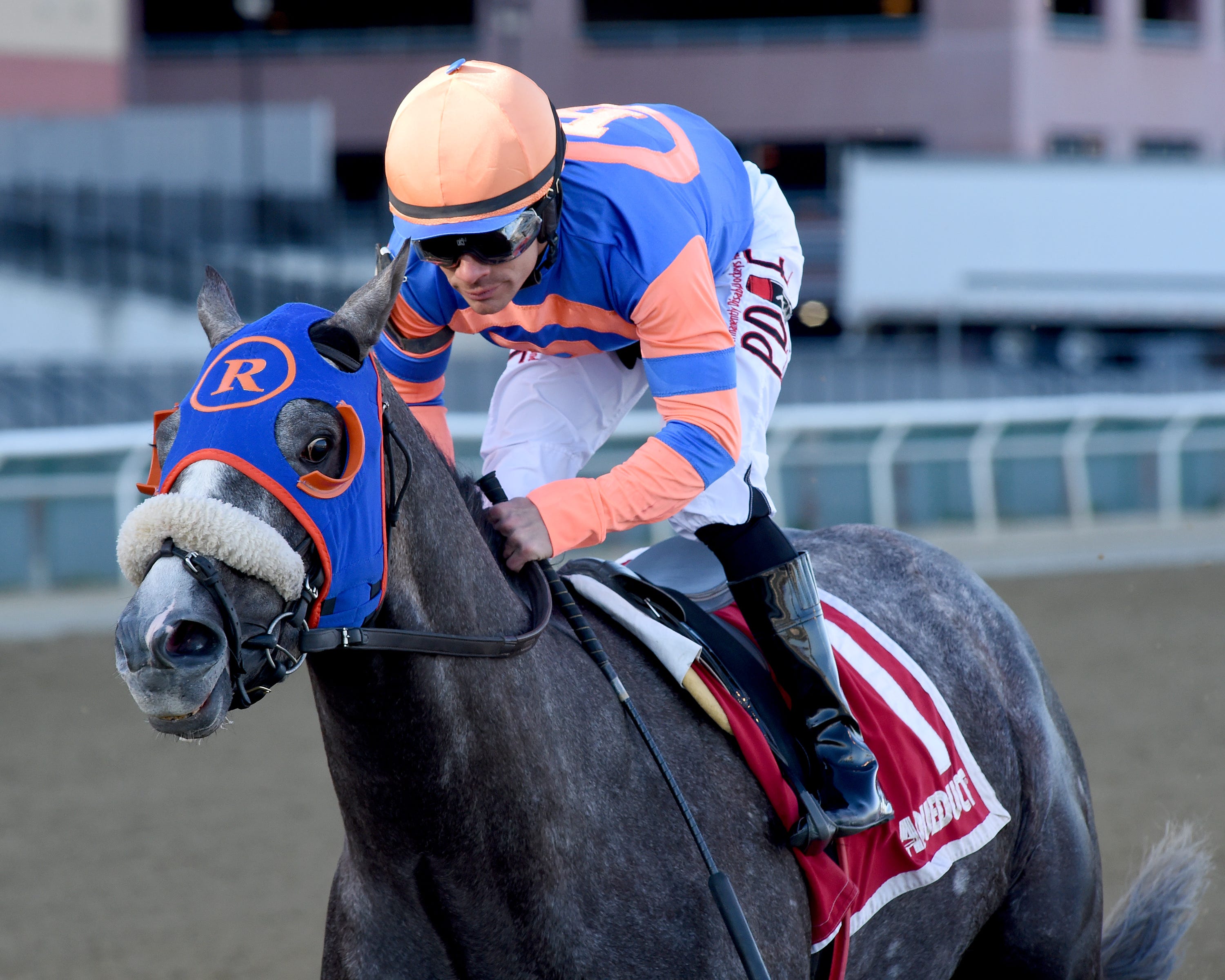 Dream Bigger rolls to Damon Runyon victory