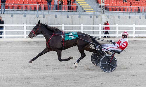 Western Fair: Duly Resolved breaks track record in OSS Gold Series score