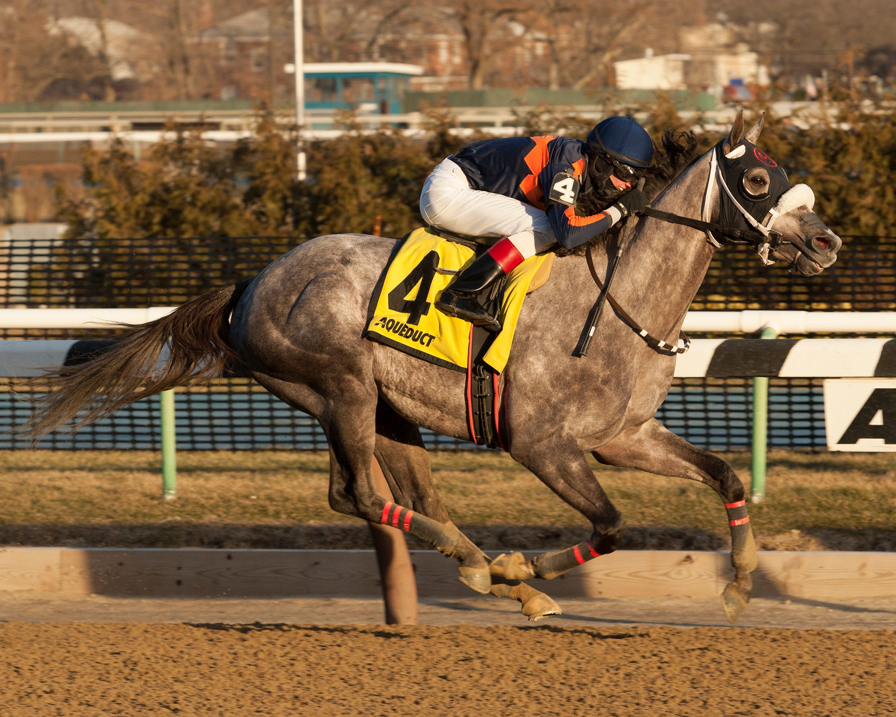 El Areeb breezes half-mile for Wood Memorial
