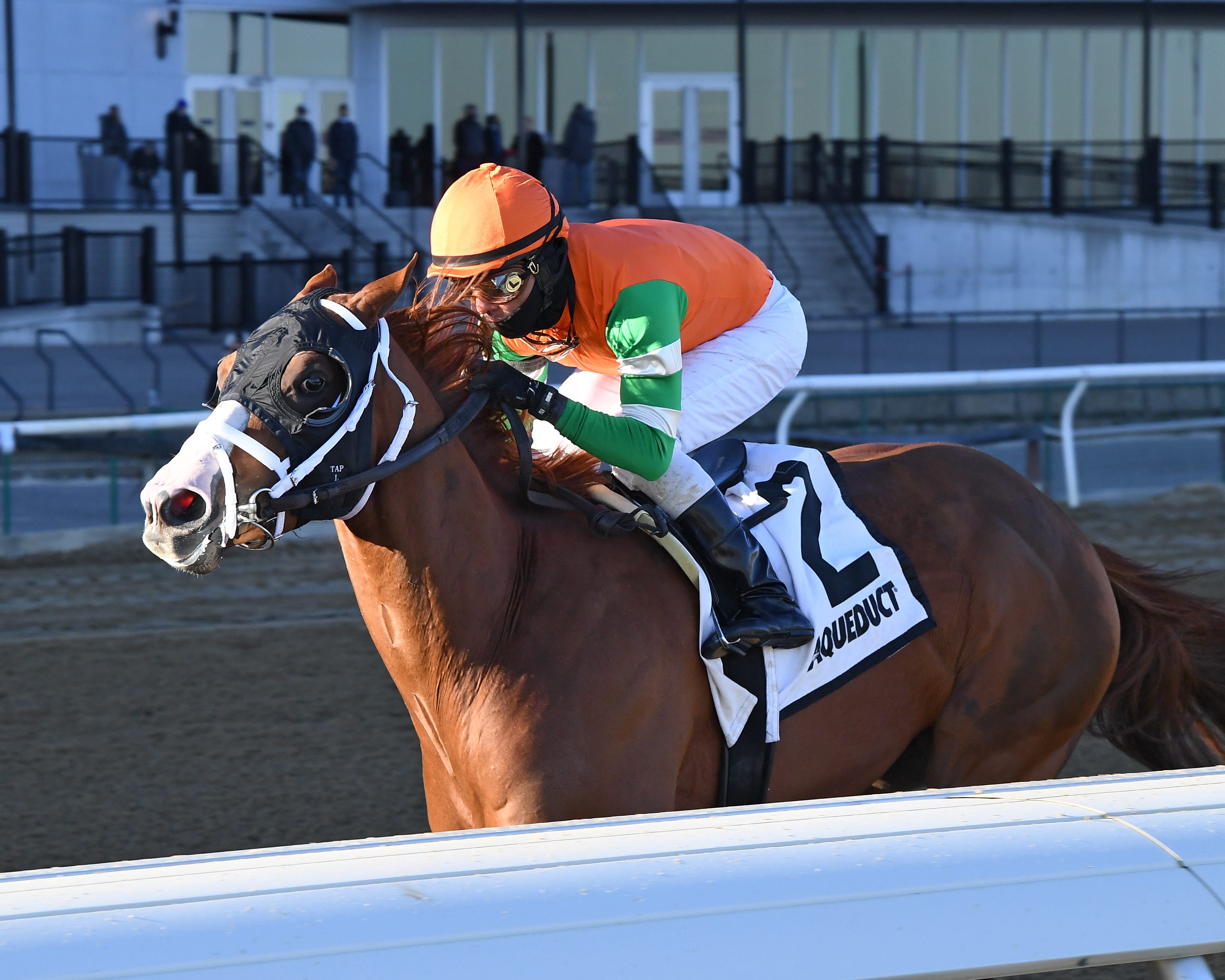 First Constitution first all the way in Jazil Stakes