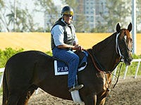 First Samurai has questions to answer