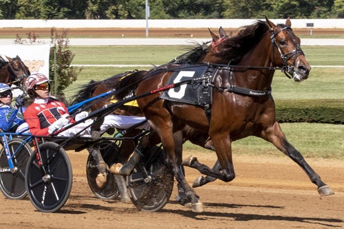 Red Mile: Freshman male trotters battle in Bluegrass Series