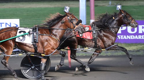 Meadowlands: NJSS action continues for 2-year-old males
