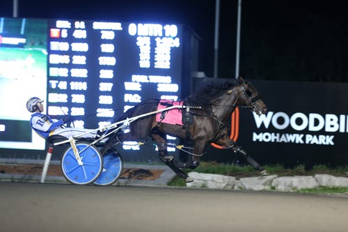 Woodbine Mohawk Park: Jimmy Freight fastest in Somebeachsomewhere divisions