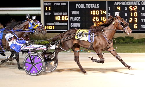 Meadowlands: Jimmy Freight set for 2023 debut