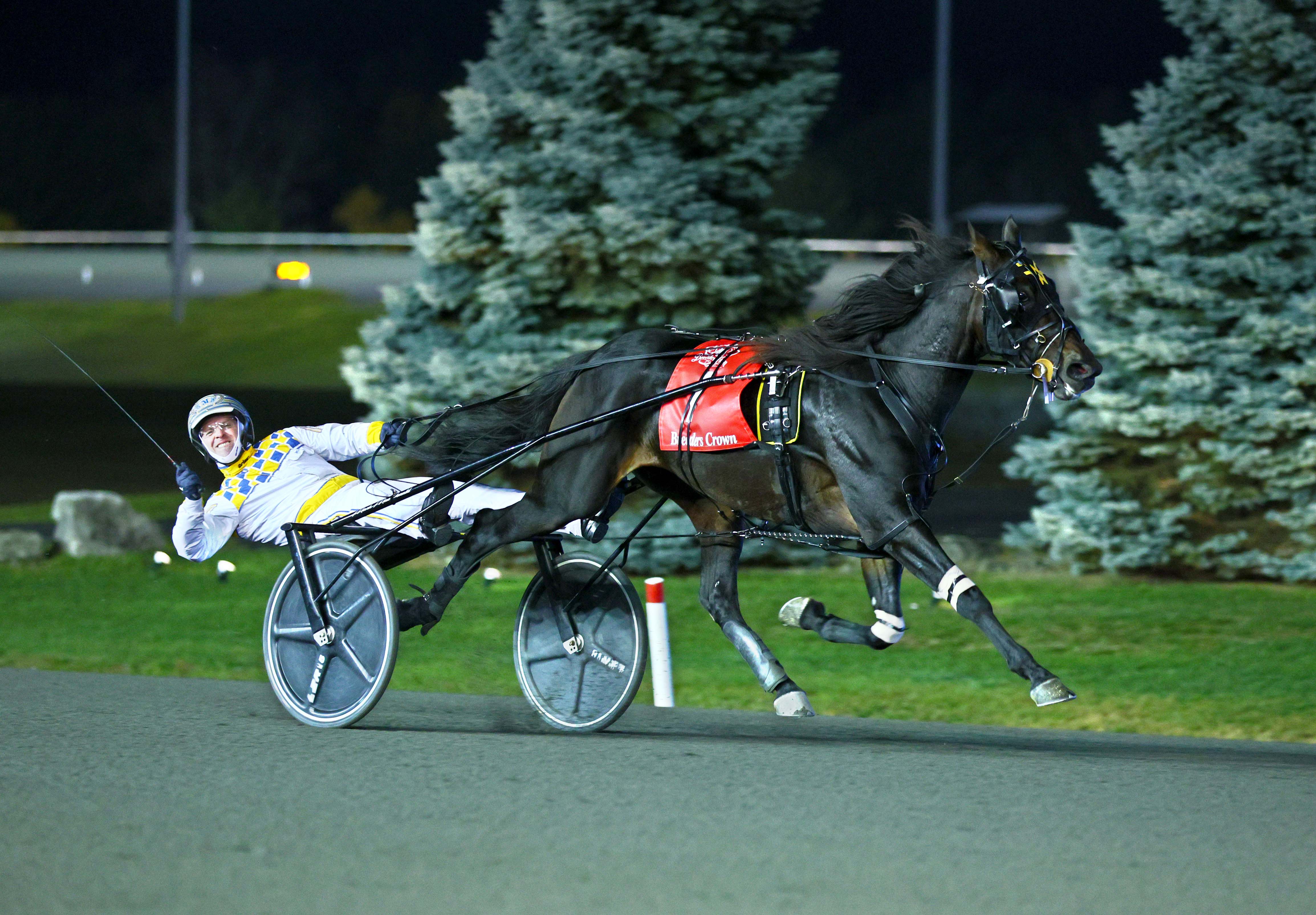 Harness: Walner's stud fee set at $40,000