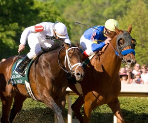 Line of David proves he's genuine