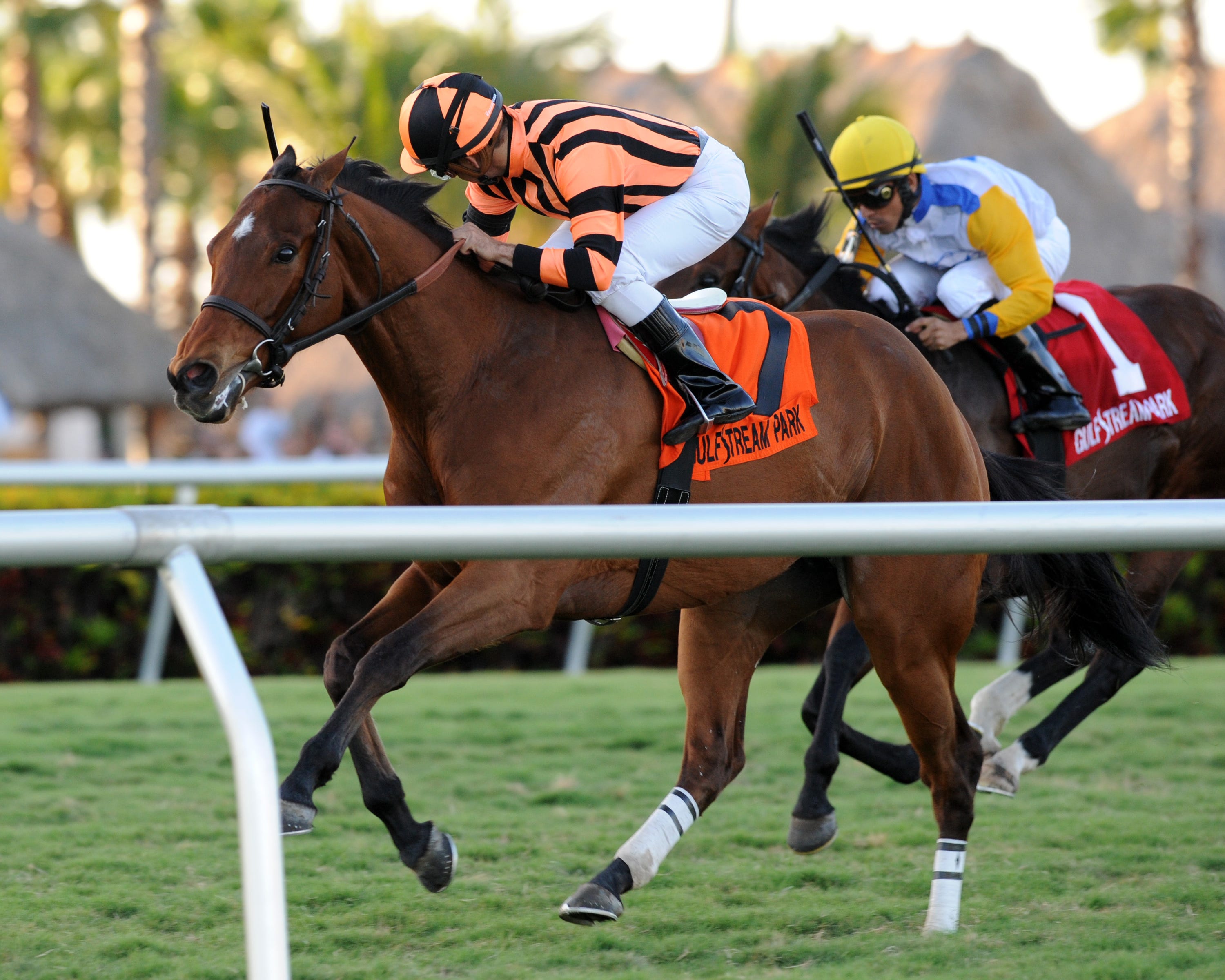 Little Mike runs 'em off their feet in Canadian Turf at Gulfstream